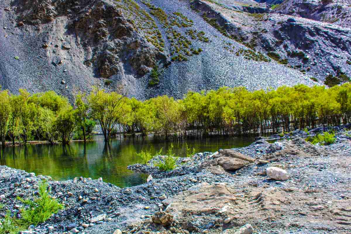 National Park Chitral Gol Trek 2024 - Exploria.pk